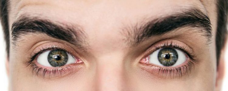 Macam-macam Bentuk Mata Lengkap Apa saja?